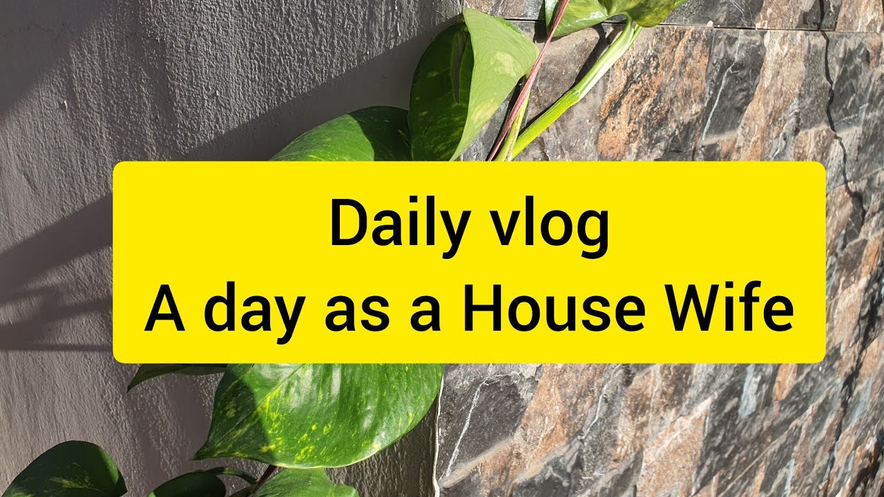 Daily vlog|lifestyle |Lifestyle vlogging|Viral|youtube - YouTube
