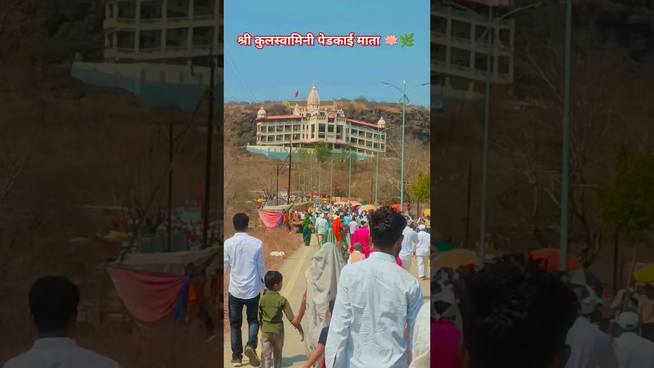 माय लख लख चांदण्या चमकन्यात तुना गडवर दर्शन लेवाले #pedkai_mata # ...