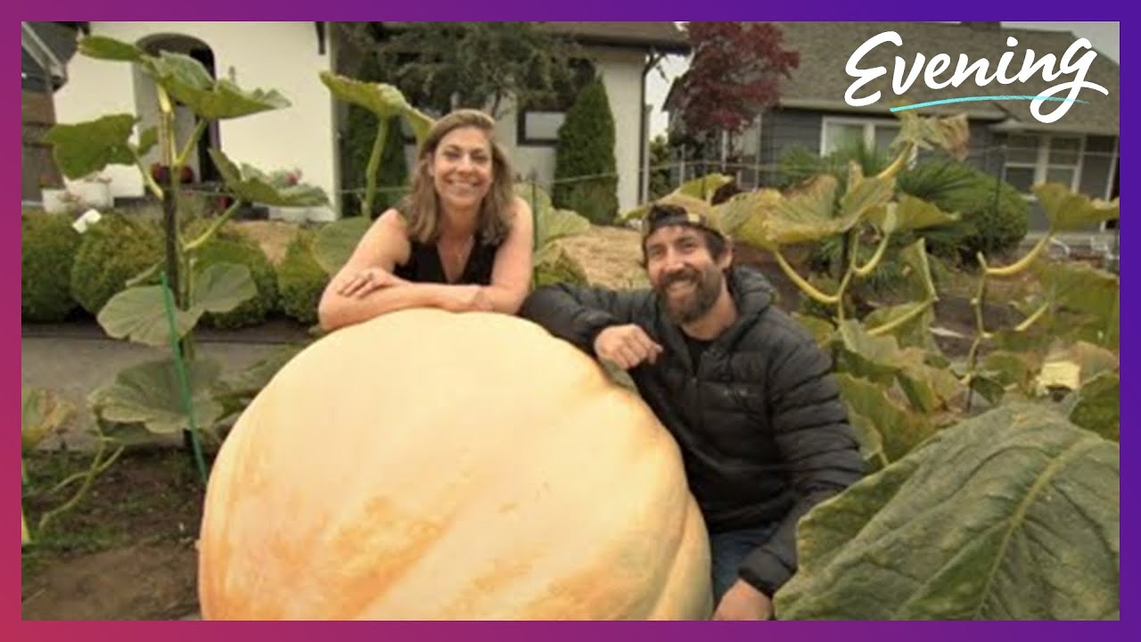 Attack of the giant pumpkins! - YouTube