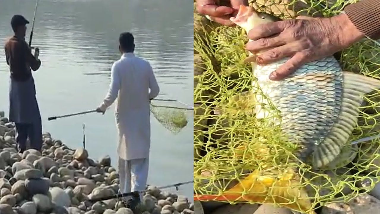 Mangla dam botting club gulfam fishing 2022 | Carp fishing 2022 | Fishing info - YouTube