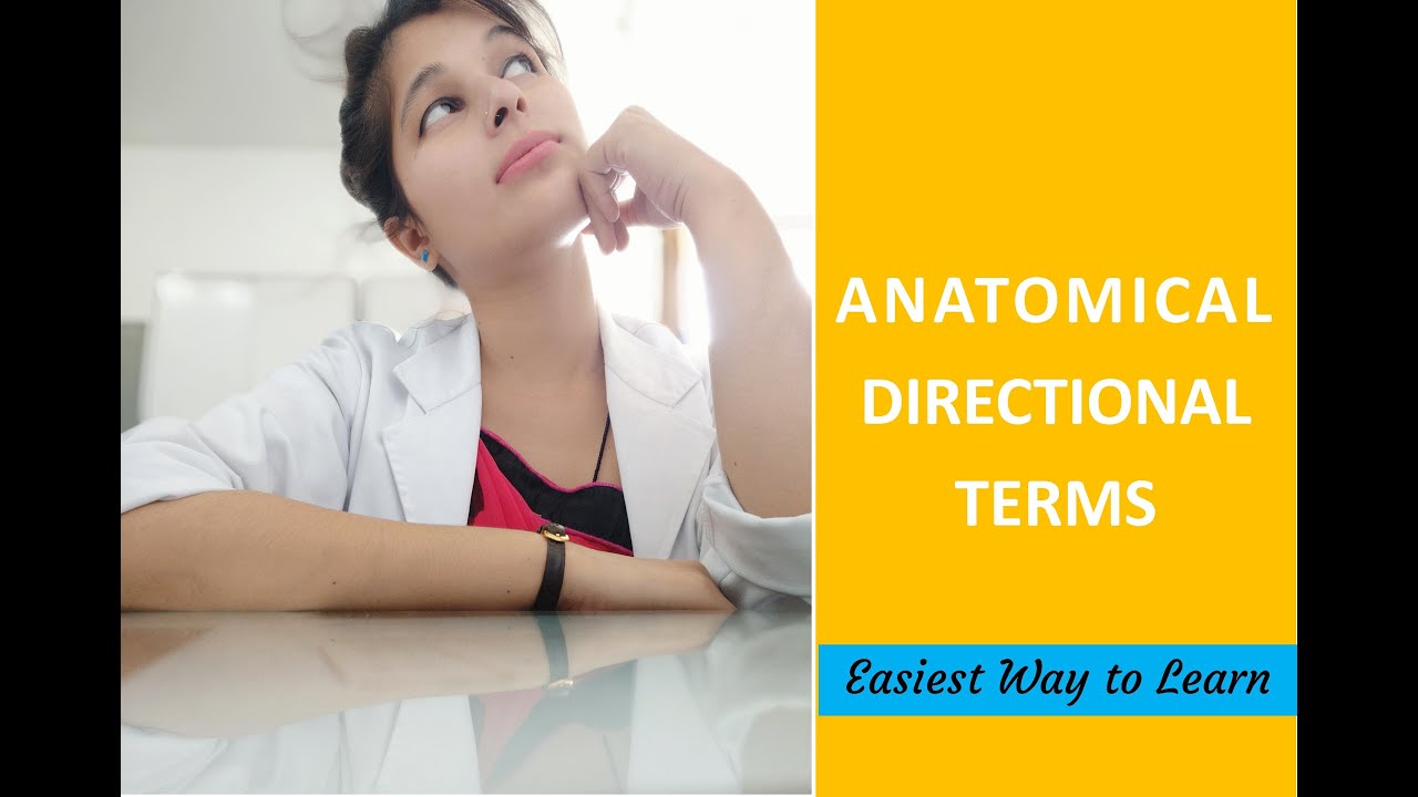 These Are The Anatomical Directional Terms You Should Know