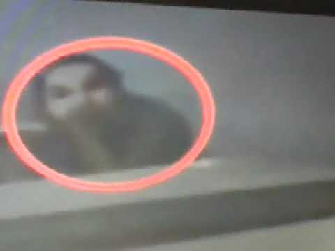 Korkmama channel yaptık (korkmadık) ☺☺