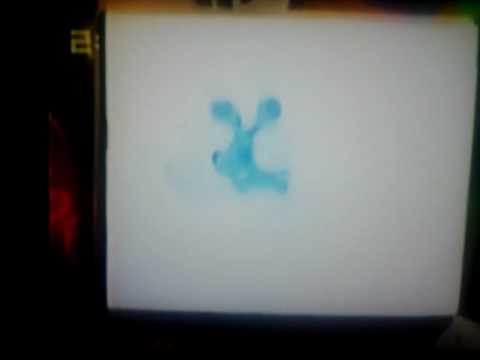 Nick Jr. Productions/Nickelodeon Animation Studios (1996, Version #3)(2 ...