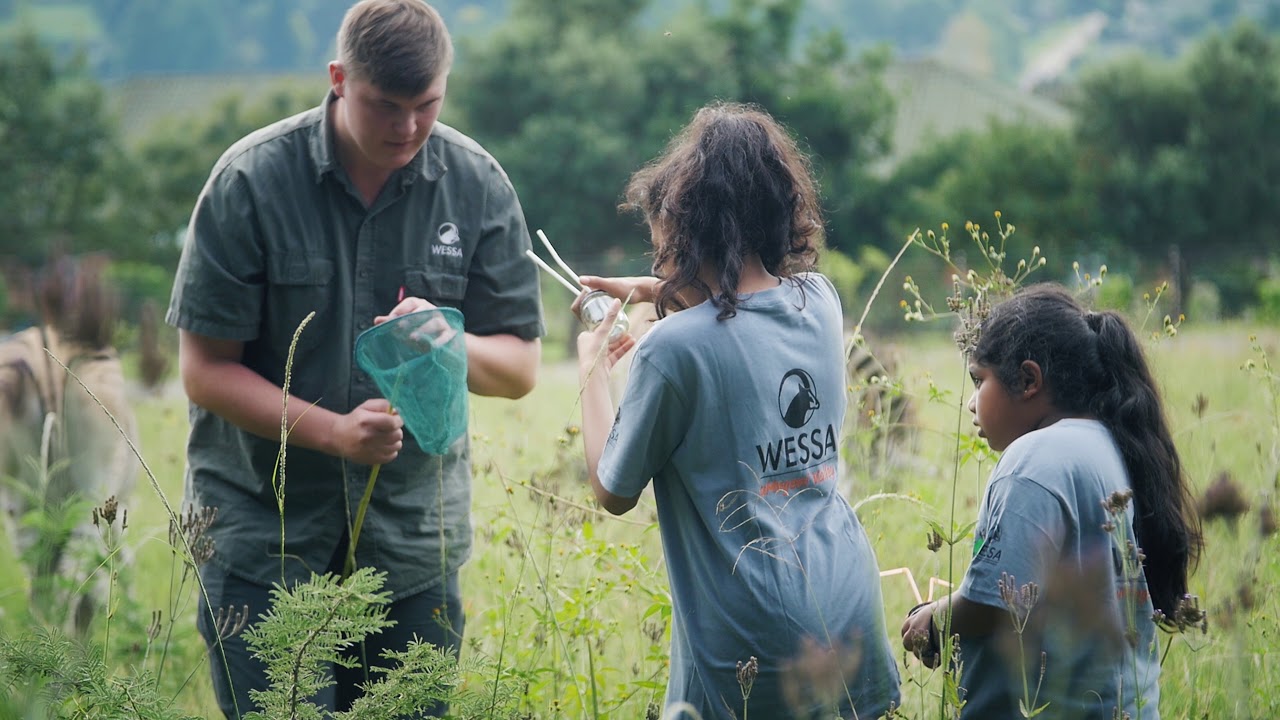 WESSA uMngeni Valley Nature Reserve & Education Centre - YouTube