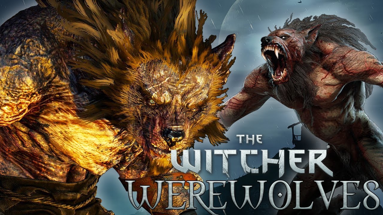 Witcher Monsters: Werewolves - Witcher Lore - Witcher Mythology ...