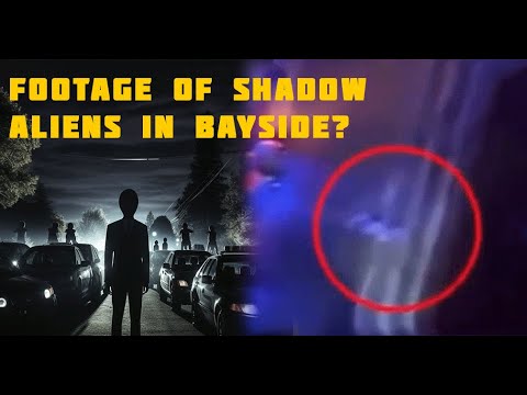 Unexplained Sightings: Shadow Aliens at the Miami Mall #alien # ...