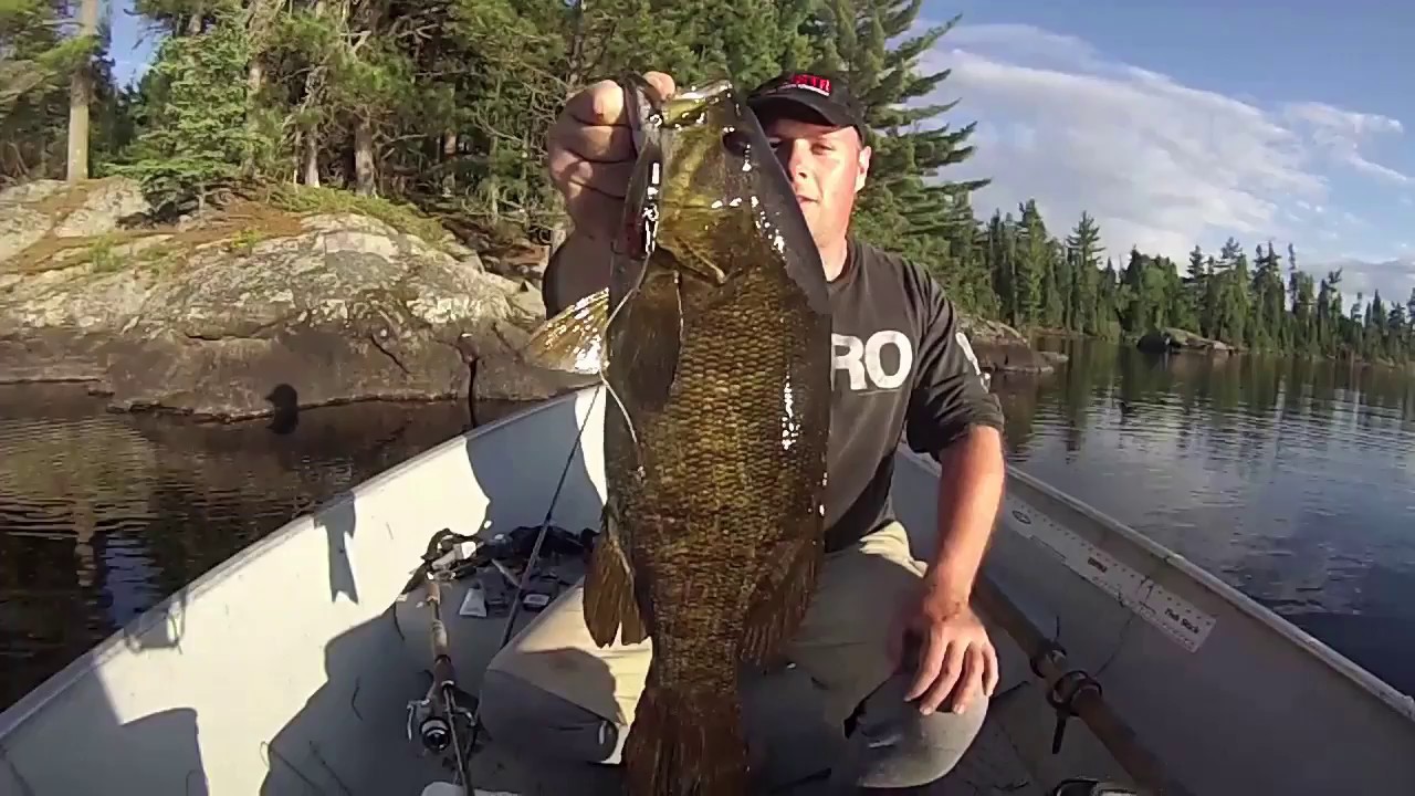 Bass Fishing in North America - YouTube