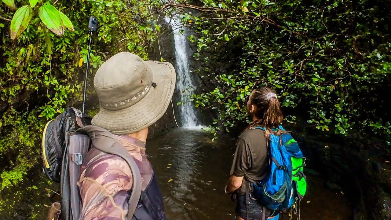 11 Hours STRANDED In The Jungle (A True Story) - YouTube