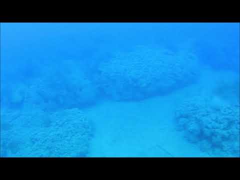 Şeytan 1,7 kg Antalya Zıpkın Spearfishing