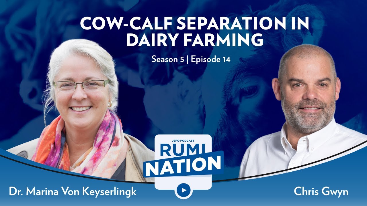 S5E14 | Cow-Calf Separation in Dairy Farming with Dr. Marina Von ...
