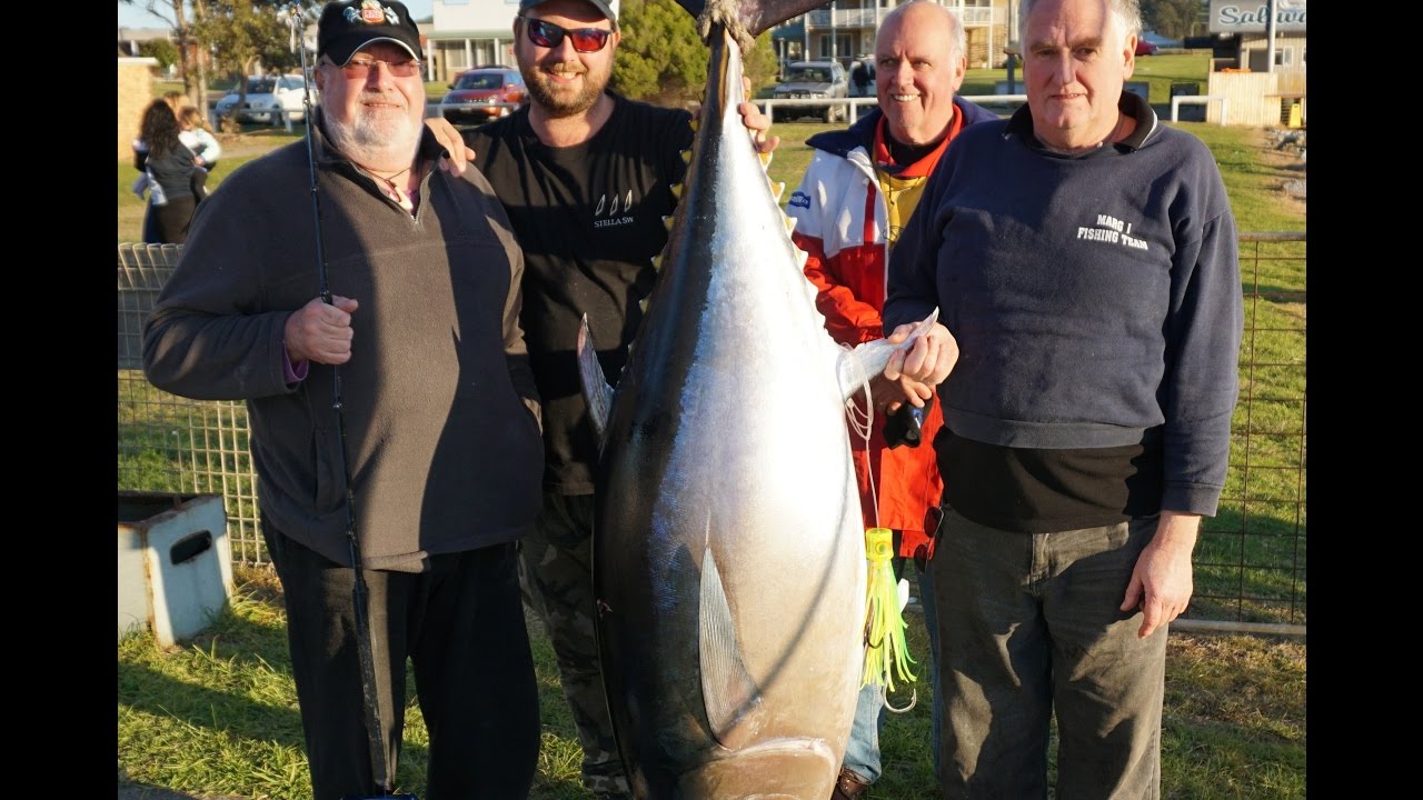 Jumbo Bermagui Bluefin Tuna - SBT fishing Australia - YouTube