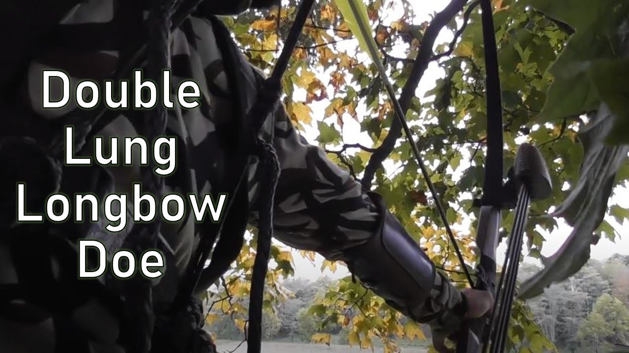 Longbow Doe Kill, Perfect Double Lung Shot - YouTube