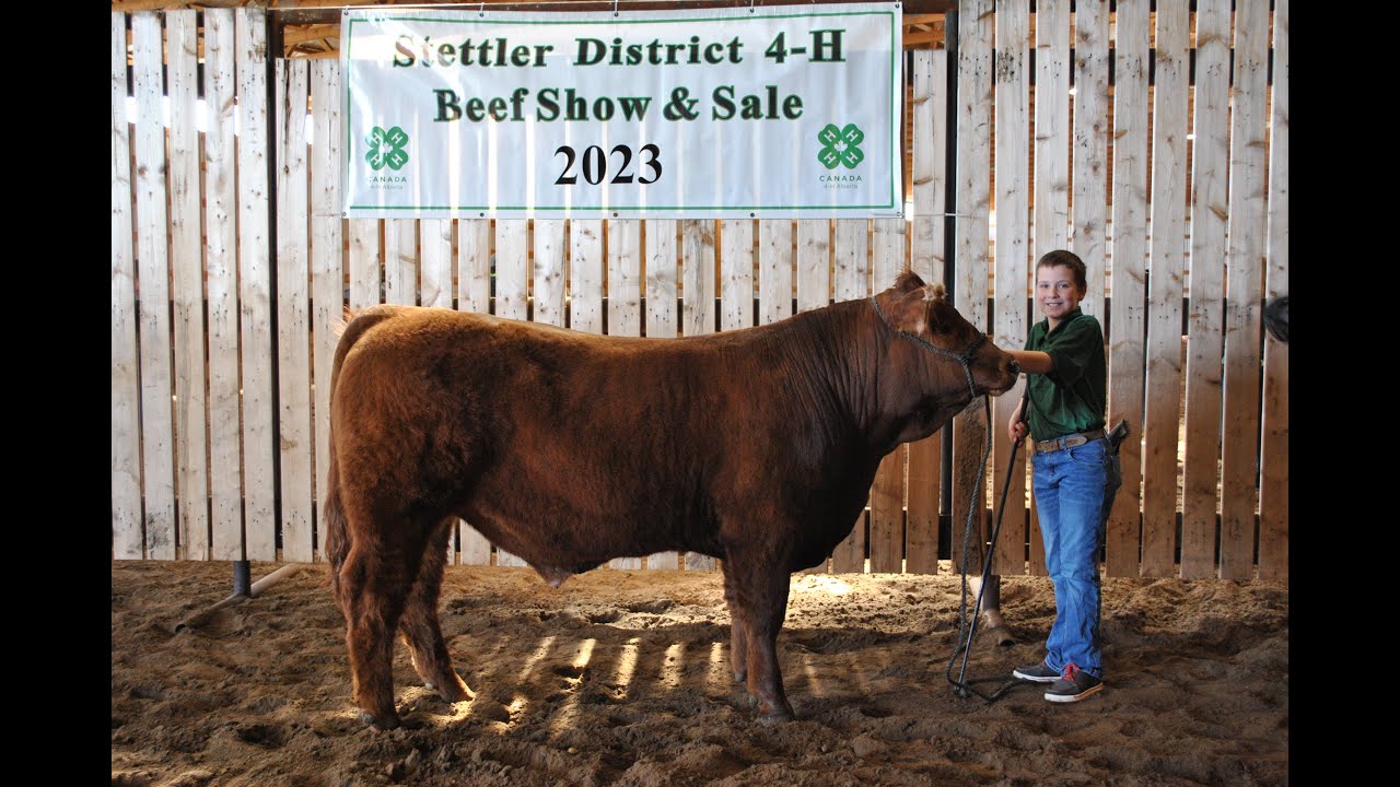 Quade Cook - YouTube