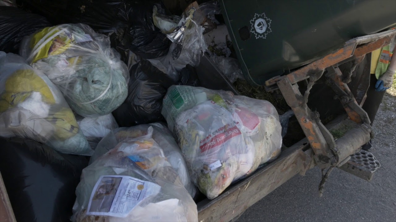 Garbage & Green Cart Collection - YouTube