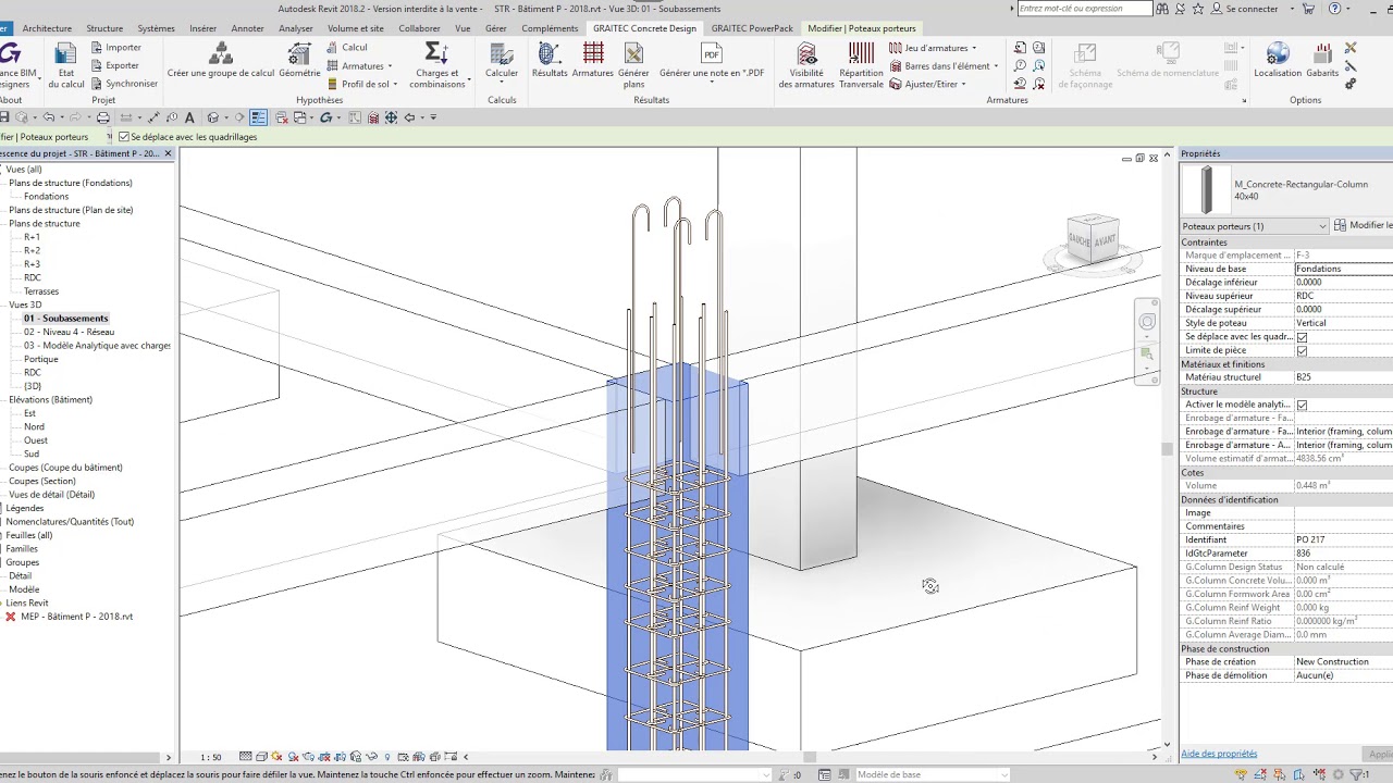 Création automatique de cages d'armatures dans REVIT à l'aide d'Arche ...