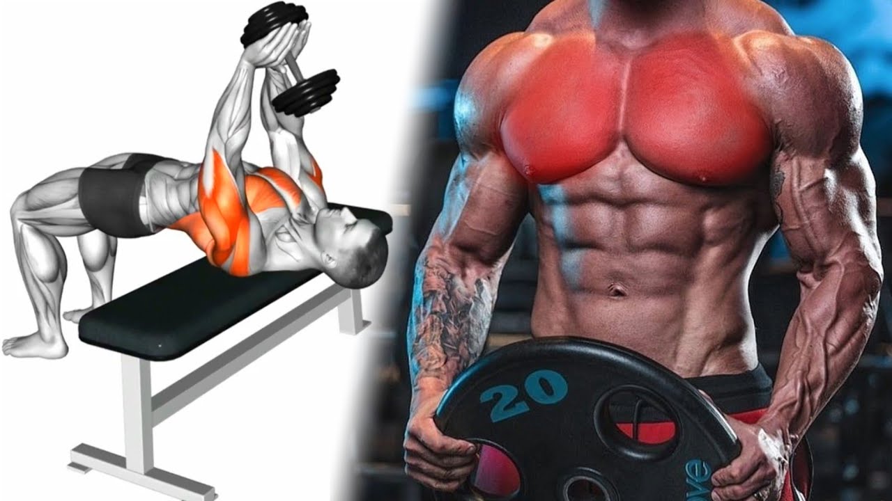 chest workout with dumbbells and barbell Only - Chest Exercises - YouTube