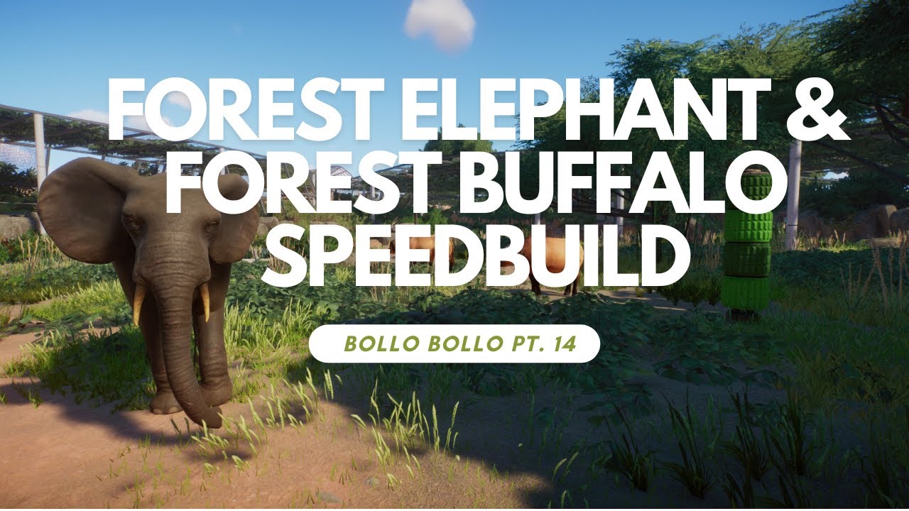An Enormous Habitat For The Smallest Elephant In The World - Planet Zoo - BOLLO BOLLO pt. 14 ...