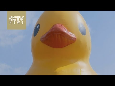 Giant yellow duck comes to Shanghai