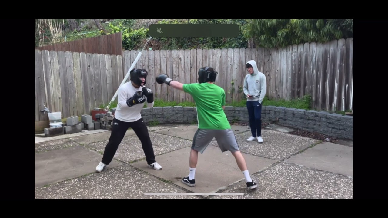 Boxer vs Self trained boxer ? - YouTube