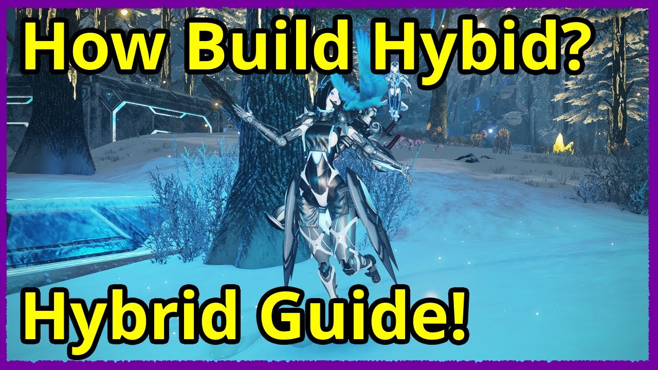 Pso2 NGS Hybrid build guide! - YouTube