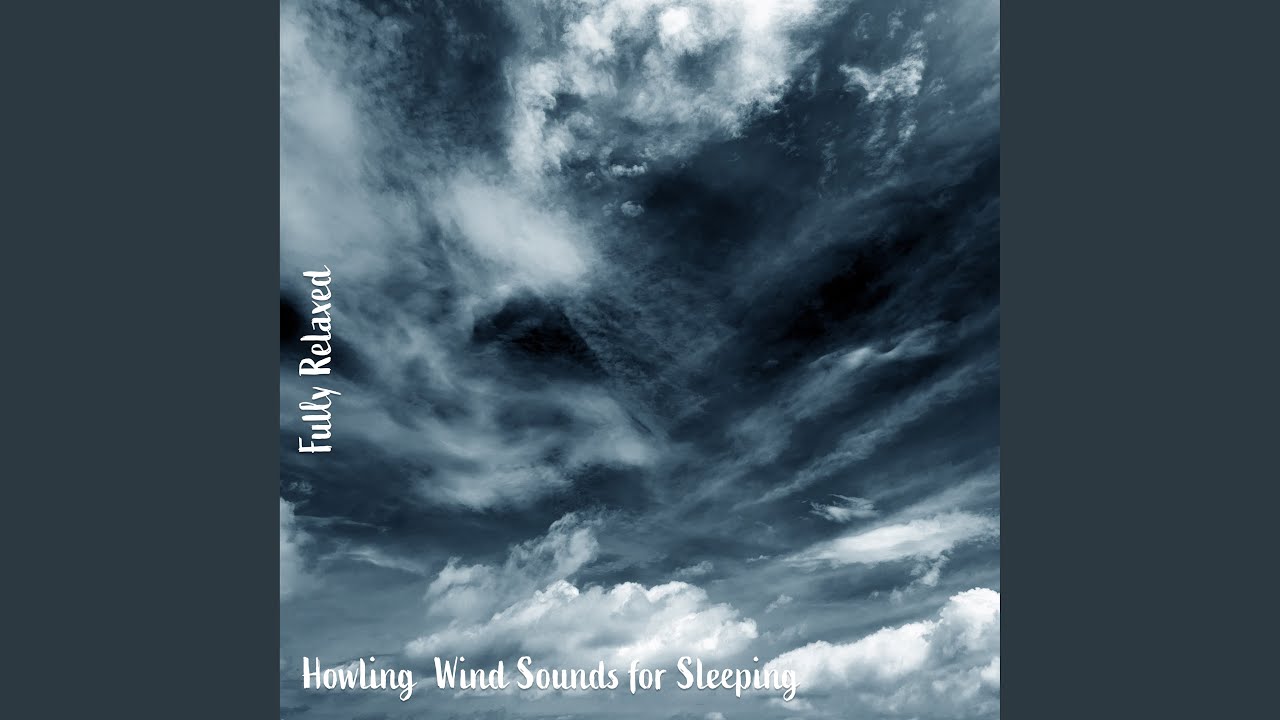 Howling Wind Sounds for Sleeping, Pt. 17 - YouTube