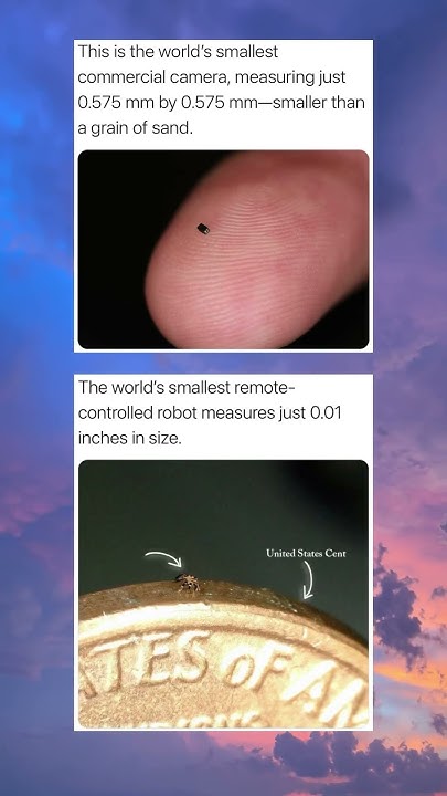 The World's Smallest Remote Controlled Robot! #shorts #fyp #fypage - YouTube