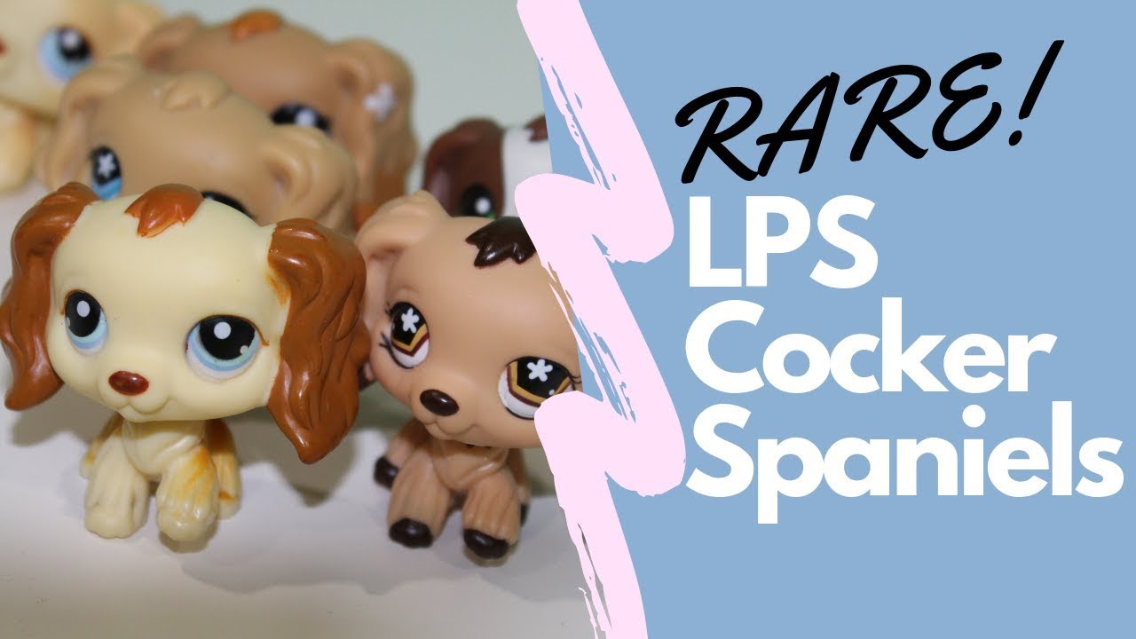 All of my LPS Cocker Spaniels (RARE) - YouTube