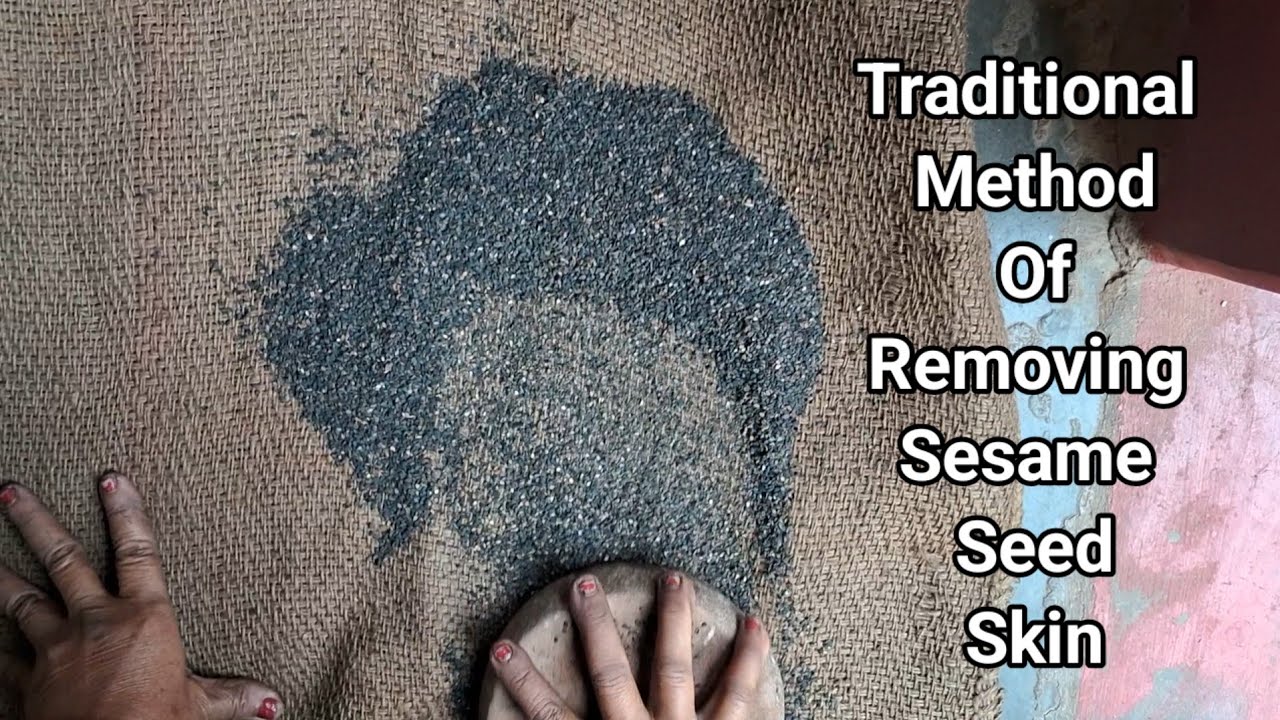 Traditional Method Of Removing Skin Of Black Sesame Seed By Rubbing ...
