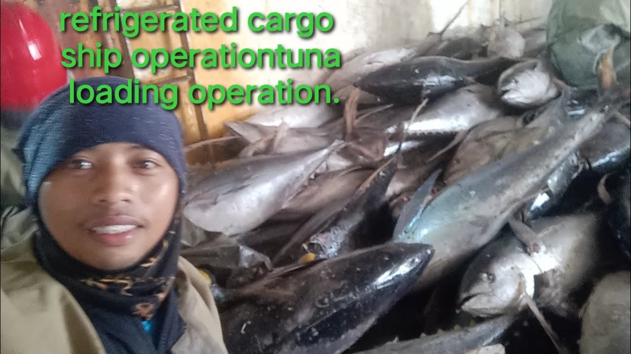 reefer cargo tuna loading operation ep.1 | refrigerated cargo ship ...