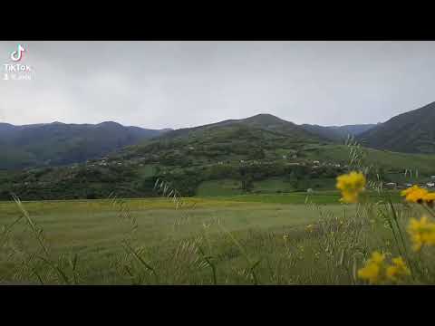 yardimli.rayonu.Niseqala k