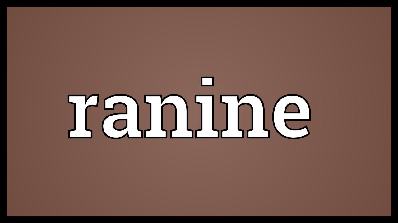 Ranine Meaning - YouTube