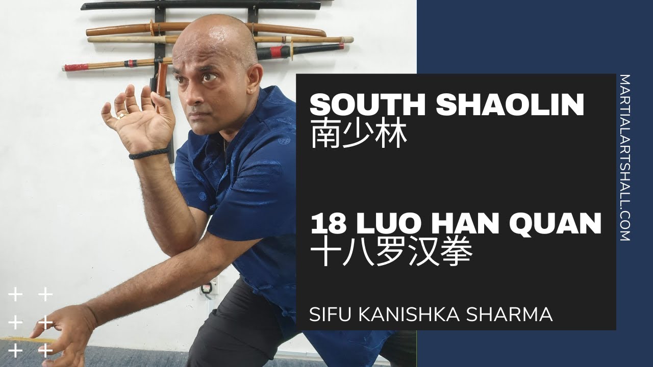 Sifu Kanishka Sharma - South Shaolin 18 Luo Han Quan (南少林十八罗汉拳) - YouTube