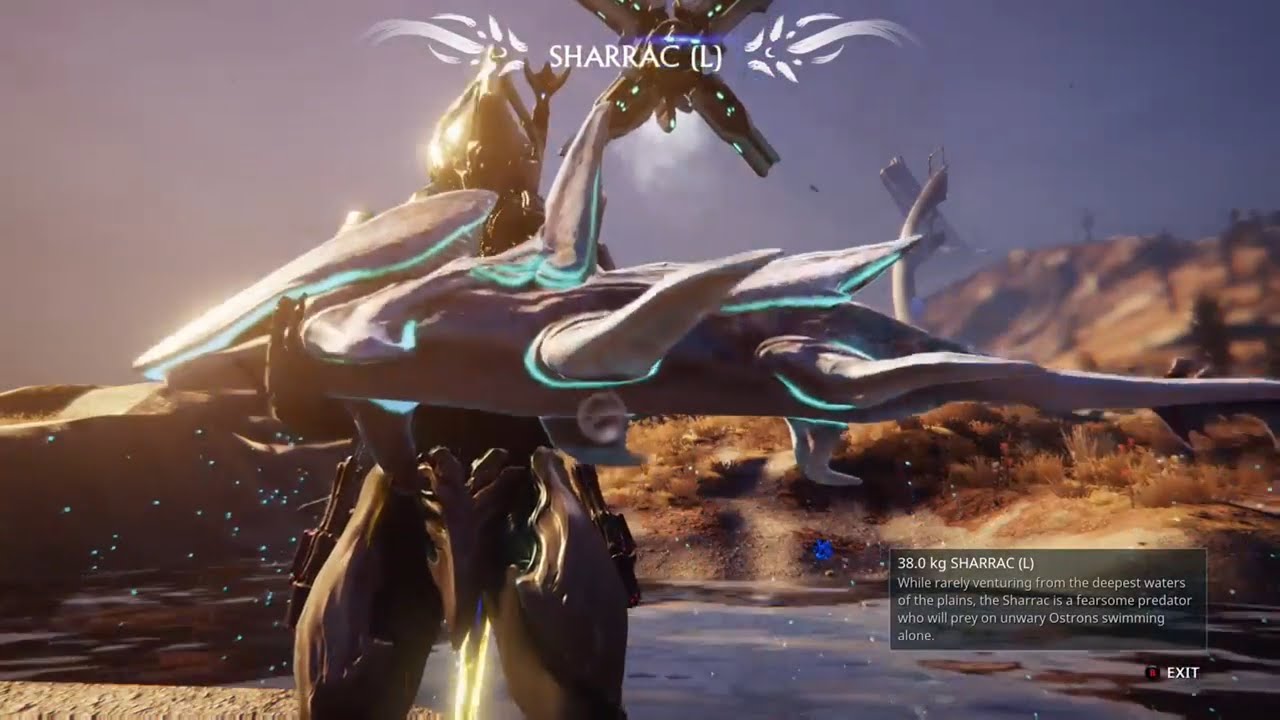 Warframe | Slaying Fish! (Pt.5) Great Ocean Fishing Hot Spot! Sharrac ...