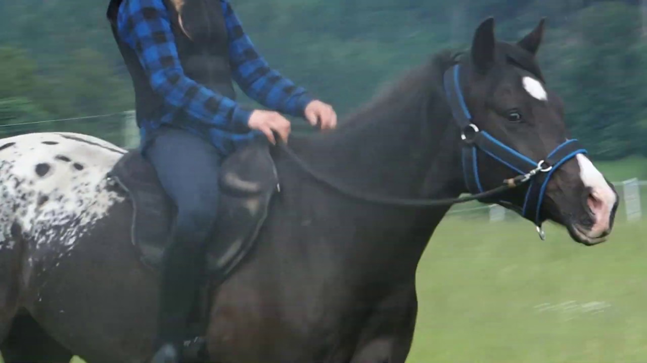 #10 Argo - walking - YouTube