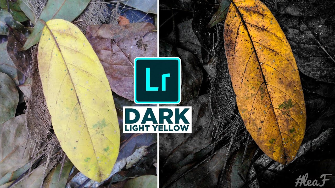 MOBILE PHOTOGRAPHY | YELLOW LEEF | ADOBE LIGHTROOM MOBILE | DARK ...