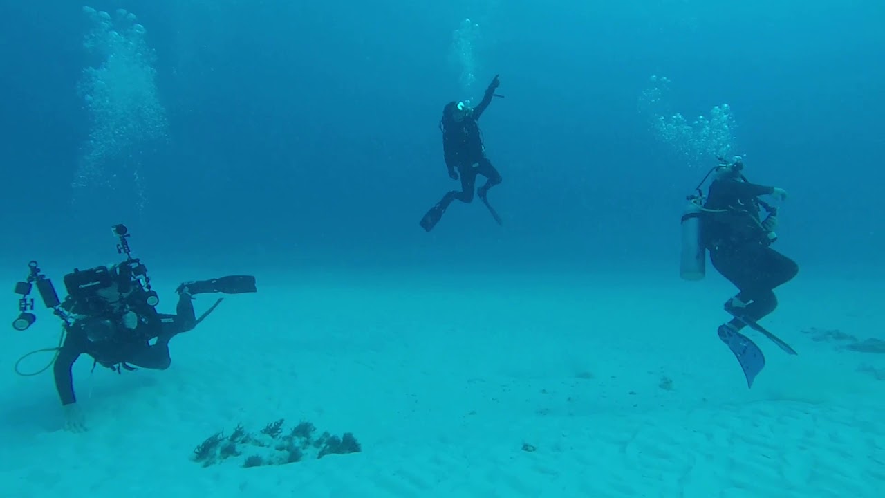Open Ocean Dive - Part 2 (Goggle Cam) - YouTube