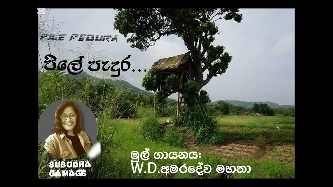 පිලේ පැදුර හේනට අරගෙන යනවා මුල් ගායනය විශාරද W D අමරදේව මහතා Youtube