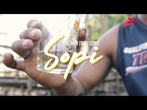 Sopi, Minuman Keras dengan Kearifan Lokal Rote - YouTube