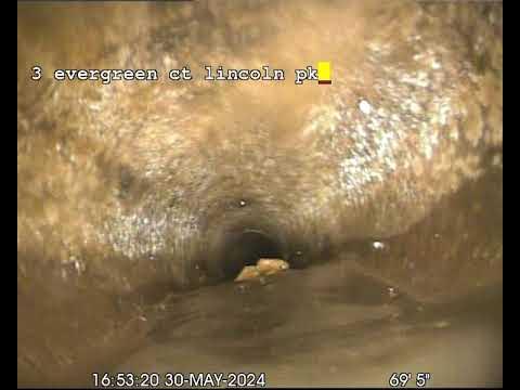 3 EVERGREEN CT 5/30/24 - YouTube