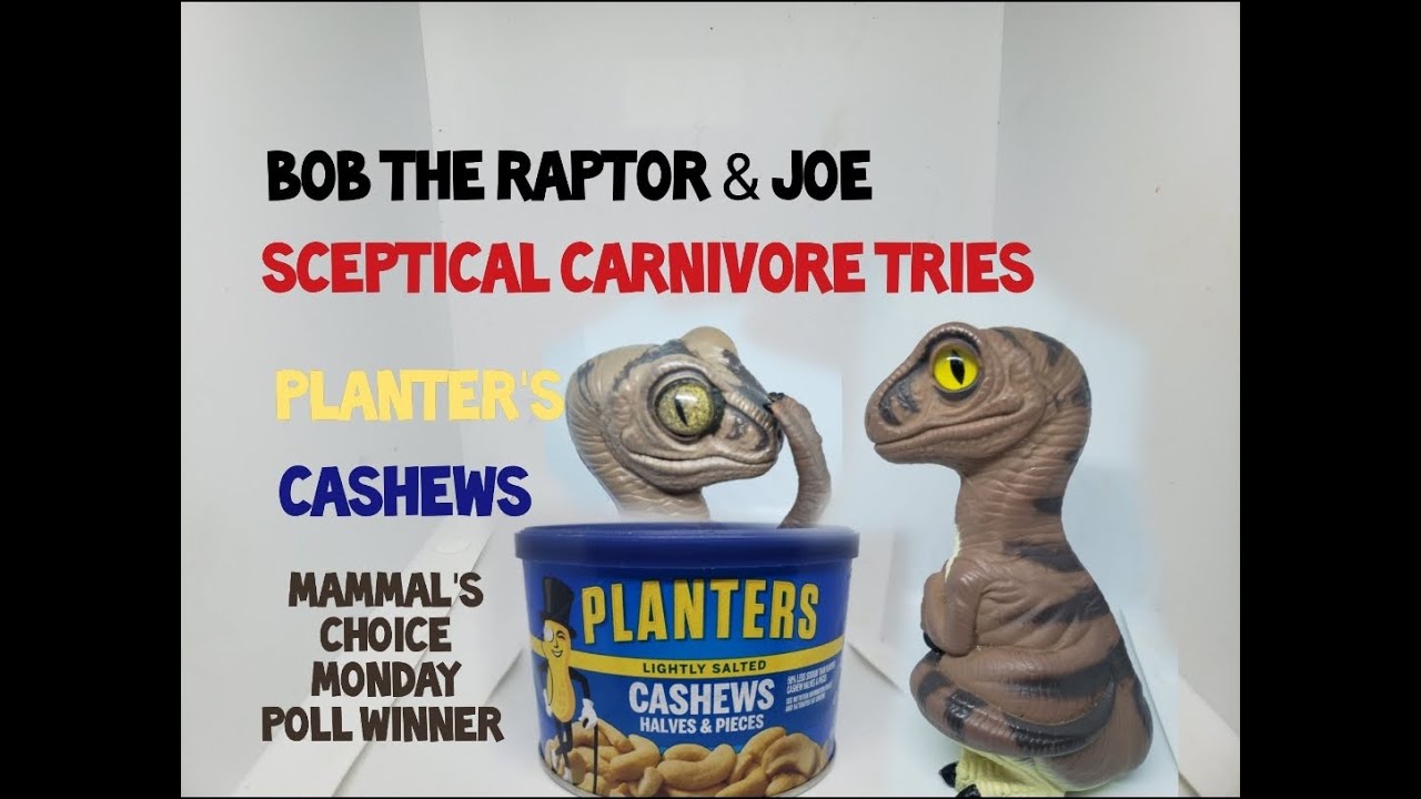 Dinosaurs try PLANTER'S Cashew Nuts Bob the Raptor & Joe Snack Food ...