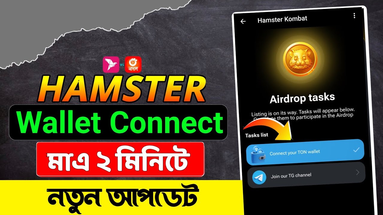 Hamster Kombat Wallet Connect | Hamster Kombat New Updete | Hamster ...