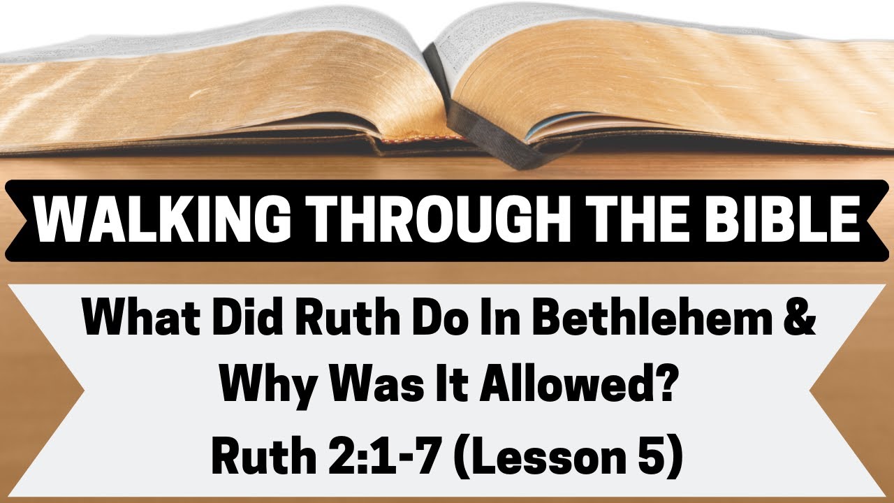WHAT Did RUTH DO In Bethlehem & WHY Was This ALLOWED? | Ruth 2:1-7 ...