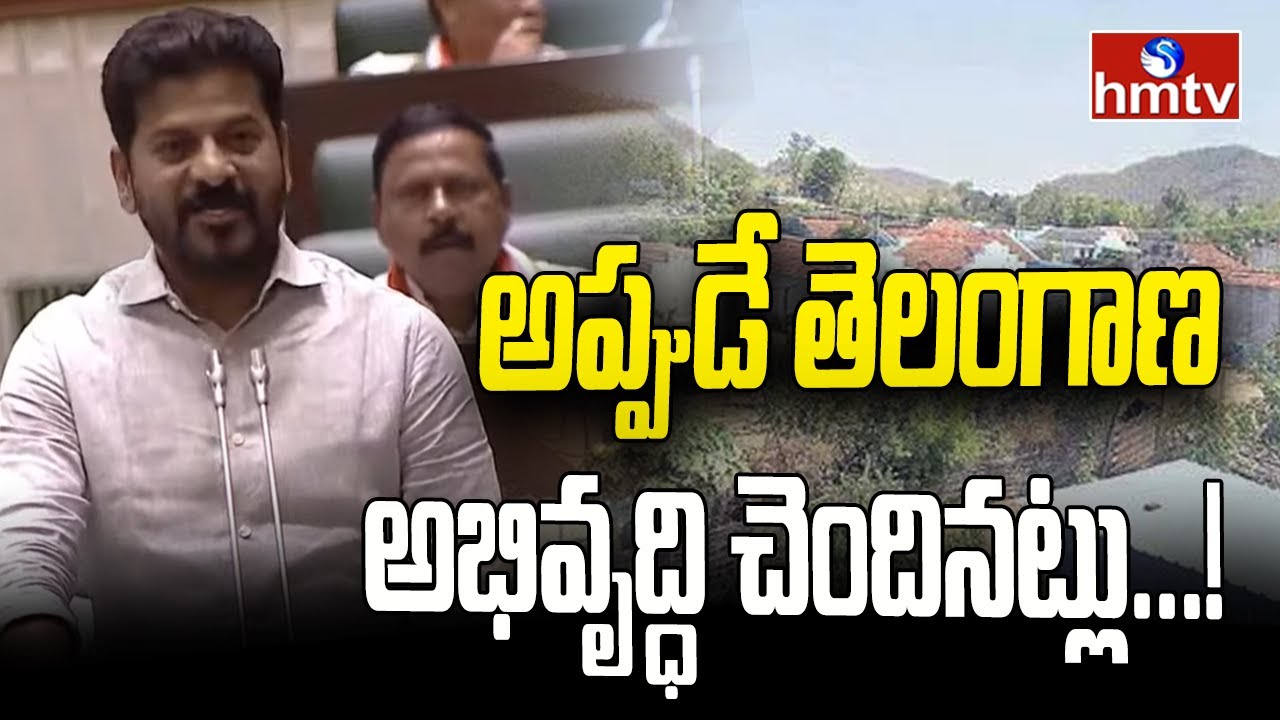 అప్పుడే తెలంగాణ అభివృద్ధి చెందినట్లు...! | CM Revanth Reddy In Assembly ...
