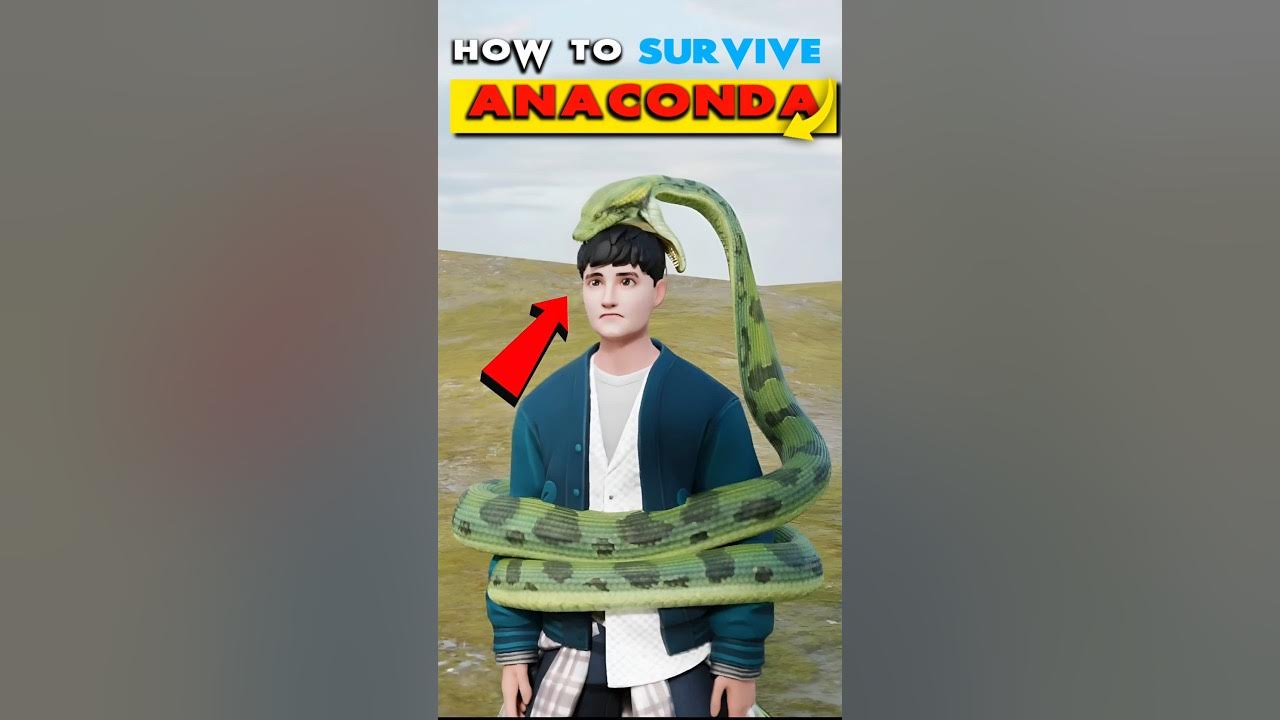 How To Survive Anaconda Snake 🐍#shorts - YouTube