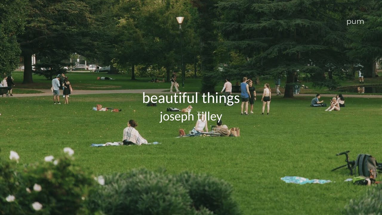 [Vietsub + Lyrics] Joseph Tilley - beautiful things - YouTube