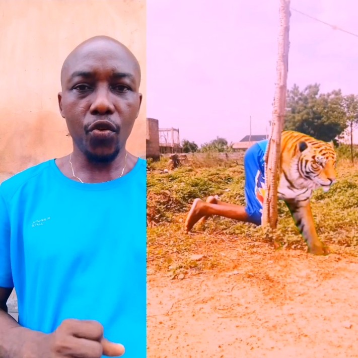 Tutorials onThe tiger transforming effect using just my phone #tutorial #vira#shortvideo - YouTube