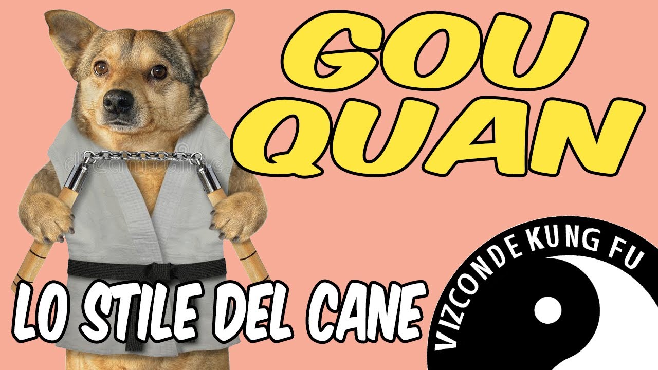 STILI DI KUNG FU ::: GOU QUAN - Lo Stile del Cane::: Vizconde Kung Fu ...