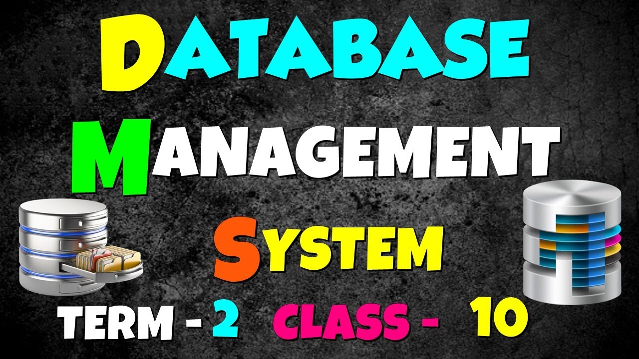 Database Management System Term 2 | Class 10 DBMS Important Questions ...