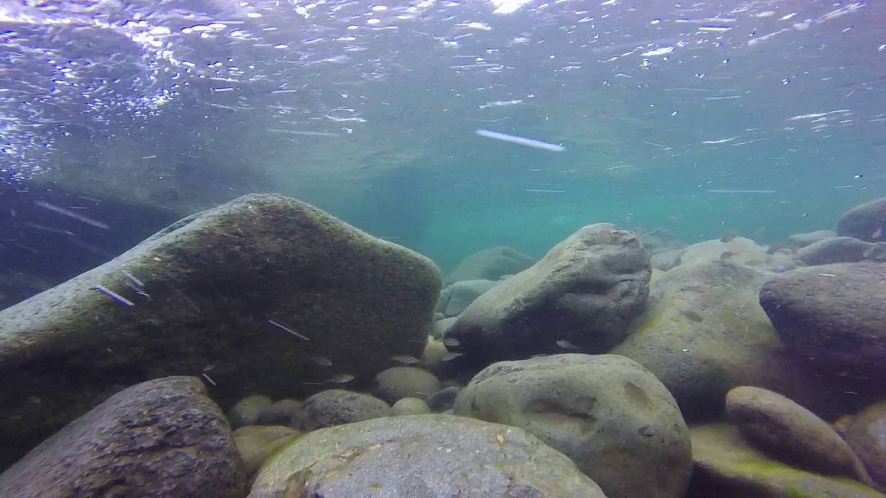 Quartzville Creek Oregon Underwater - YouTube
