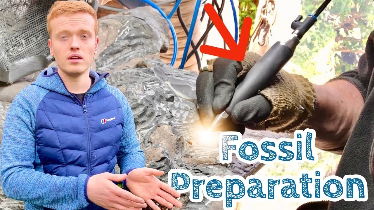 Fossil Preparation! Crocodile and Plesiosaur Fossils - YouTube